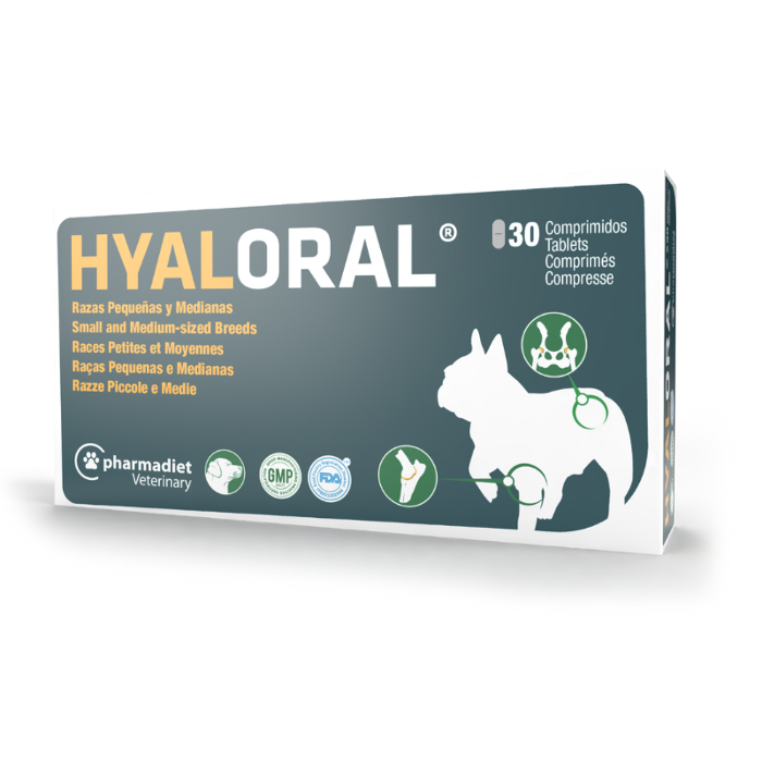 HYALORAL Perros Razas Pequeñas y Medianas | Albet Distribuidora
