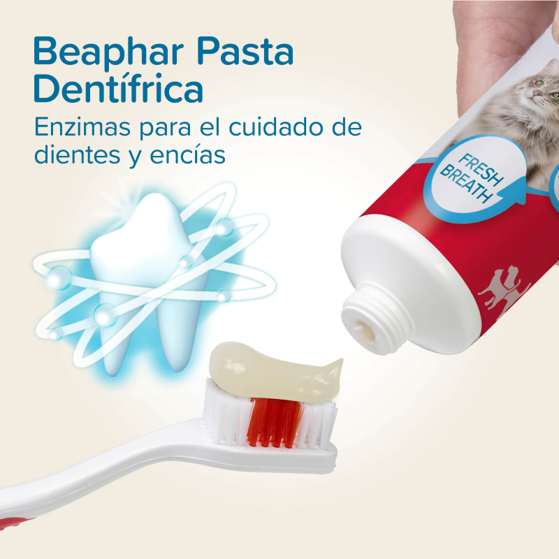 PACK DENTAL (Pasta + Raspall) l Albet Distribuïdora Veterinària