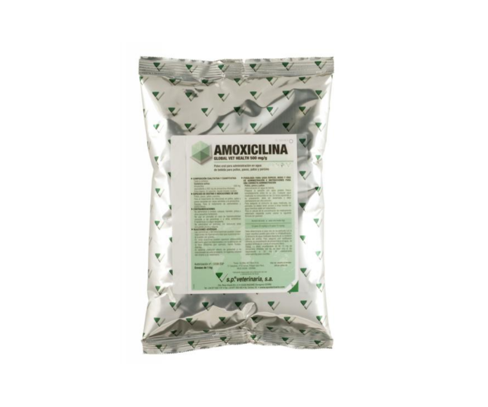 AMOXICILINA SP 500mg/g