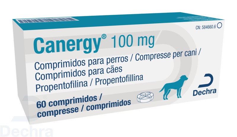 Canergy 100mg | Albet Distribución Veterinaria Online |Dechra