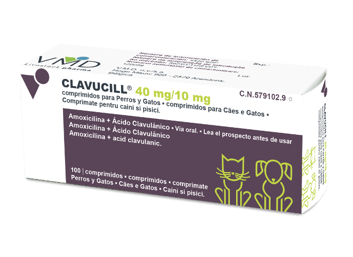 Clavucill 50mg | Albet Distribuidora Veterinaria Online