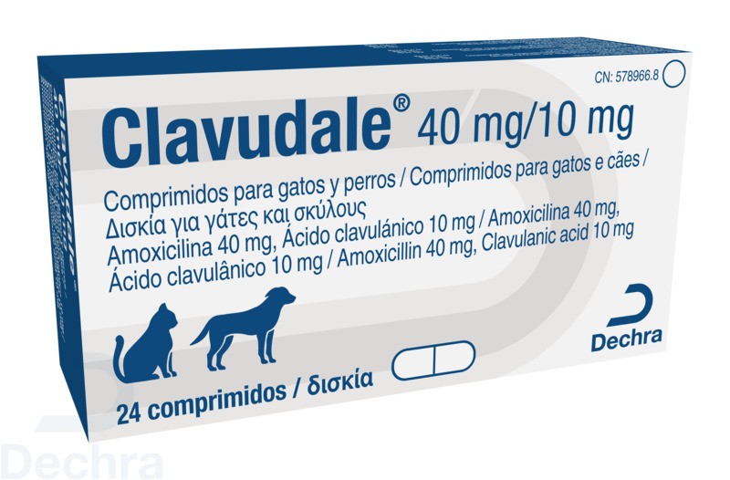 Clavudale 40/10mg |Albet Distribució Veterinària Online | Dechra