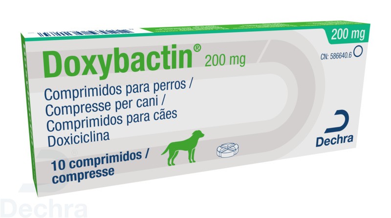 Doxybactin | Albet Distribuidora Veterinaria online | Dechra