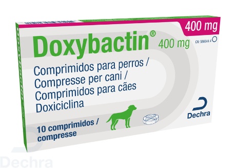 Doxybactin | Albet Distribuidora Veterinaria online | Dechra