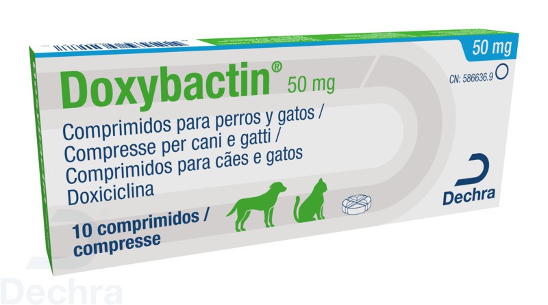 Doxybactin | Albet Distribuidora Veterinaria online | Dechra