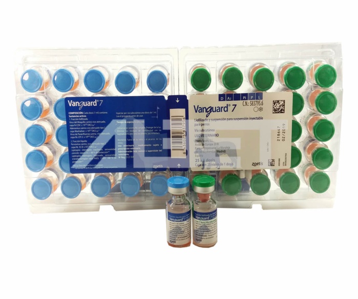 Vanguard-7 | Albet Distribuidora Veterinaria Online | Zoetis