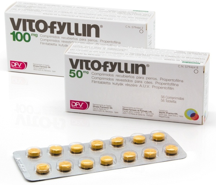 Vitofillyn 50mg |Albet distribución veterinaria online |DFV