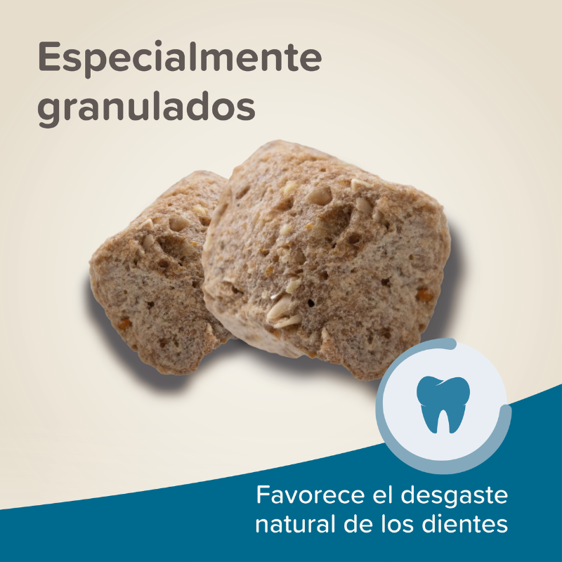 CARE+ HAMSTER | Albet Distribuïdora Veterinària