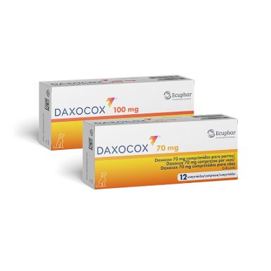 Daxocox 12 comprimidos| Albet Distribuidora Veterinaria Online