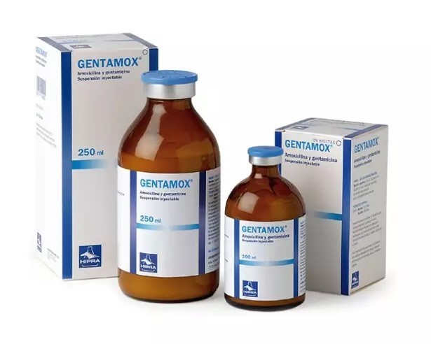 GENTAMOX INYECTABLE (250 cc)