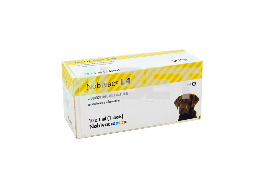 Nobivac L4 | Albet Distribuidora Veterinaria Online | MSD