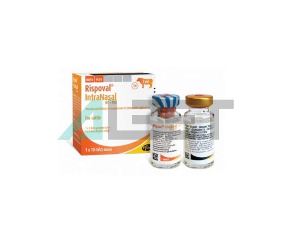 Rispoval RS-PI3 Intranasal | Albet Distribució Veterinària Online