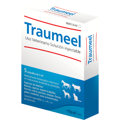 Traumeel Injectable | Albet Distribució Veterinària Online